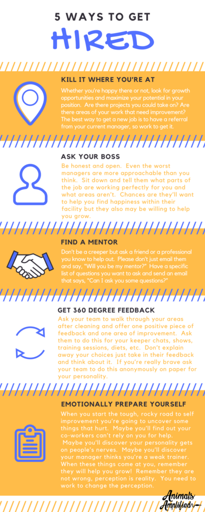 5 Steps to Getting Hired - Animals Amplified