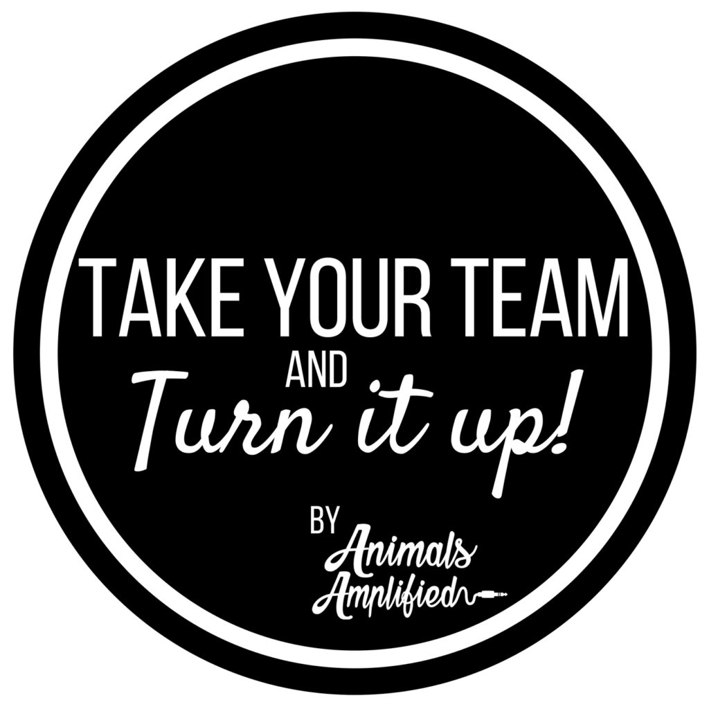 Enrichment Safety - Animals Amplified