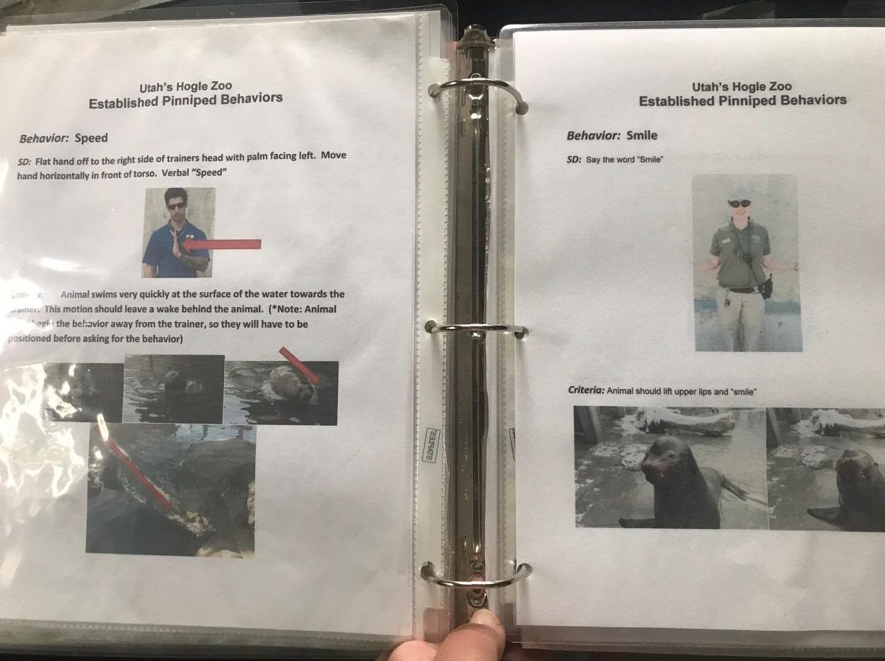 Boards and Binders: Zoo Training Consistency - Animals Amplified