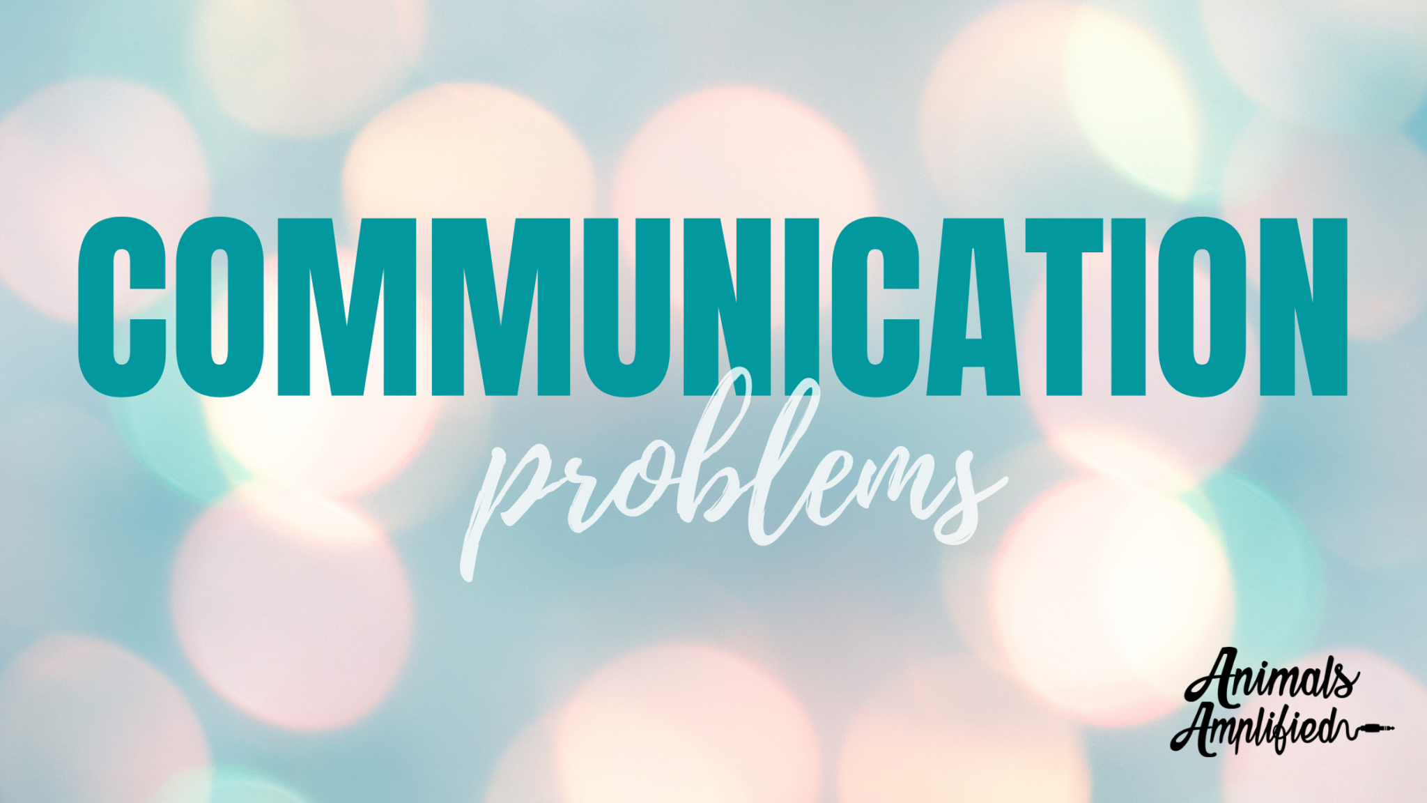 Communication Problems - Animals Amplified