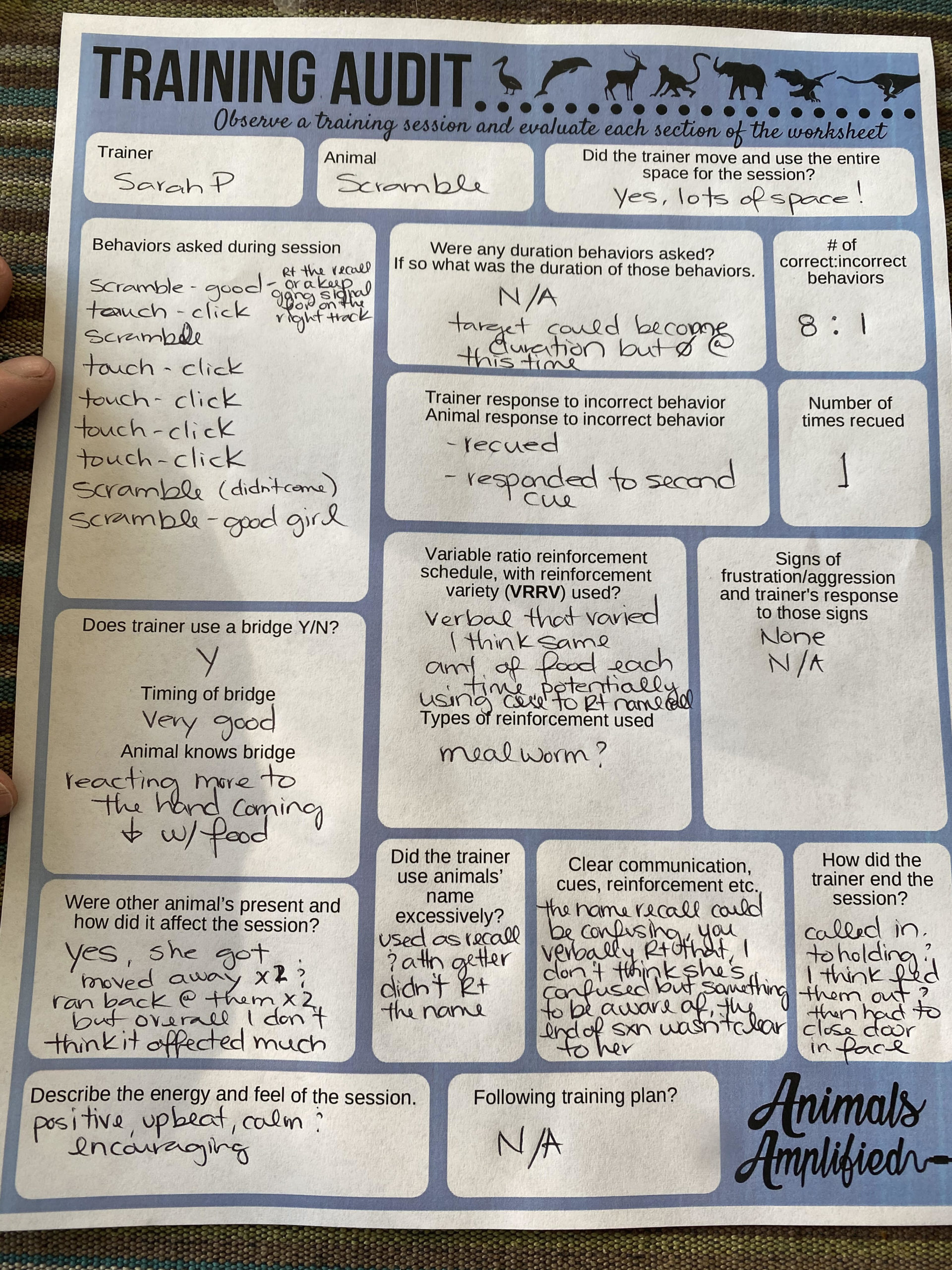 Make training a priority - Animals Amplified