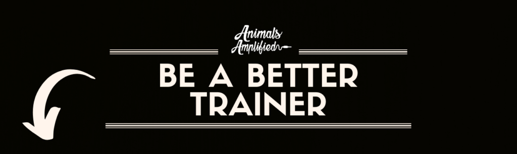 Thinking Traps - Learn how to work through them - Animals Amplified