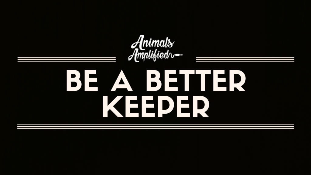 Assume best intent - Animals Amplified