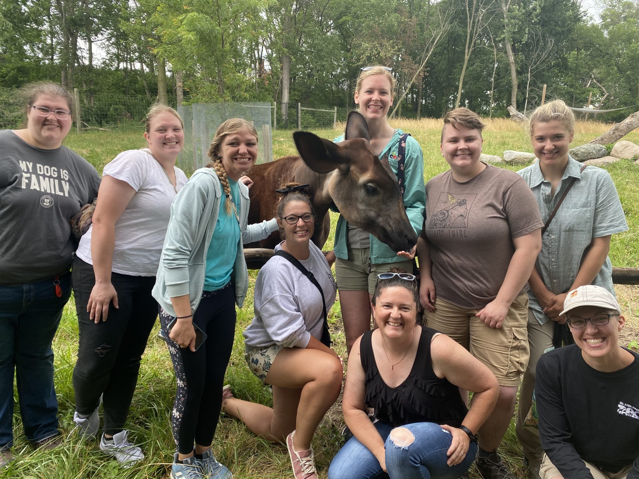 Communication in Animal Care: The Behavior, Impact, Tossback Method ...