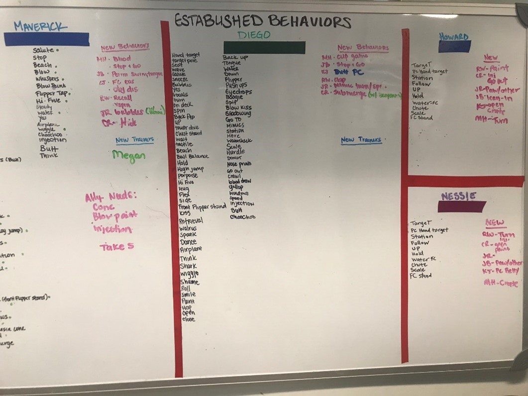 Boards and Binders: Zoo Training Consistency - Animals Amplified