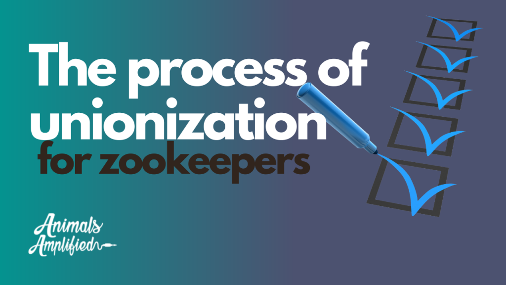 What is the Process for the Unionization of Zoos? - Animals Amplified